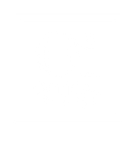 RES / REI – Optical Image